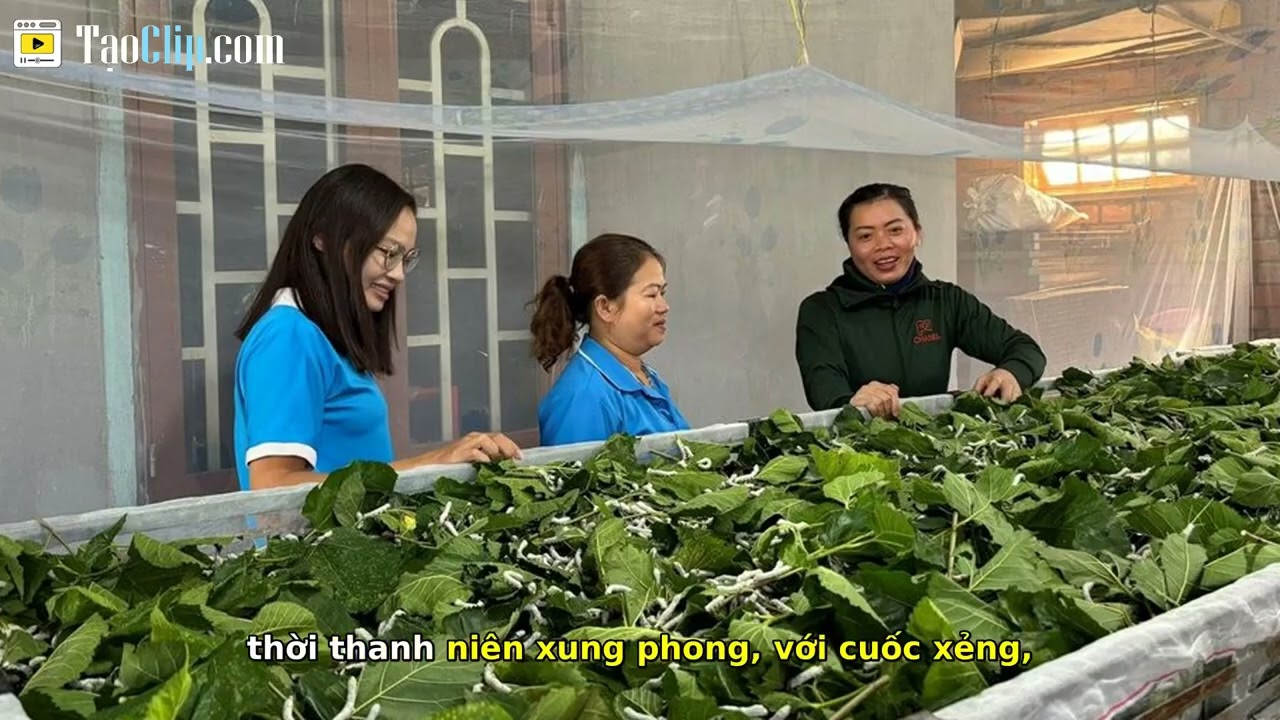 Kinh Tế Mới: Từ Vùng Đất Hoang Vu Đến No Ấm, Trù Phú - VNPT AD